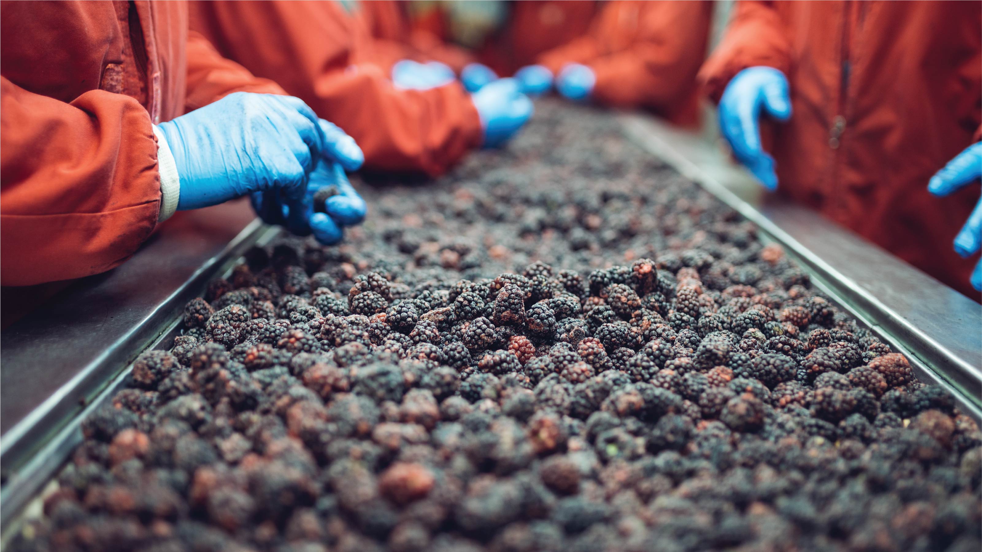 Cold Storage Monitoring System | Bosch Global Software Technologies PVT LTD